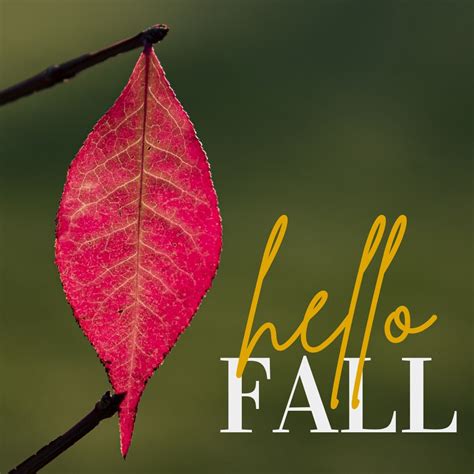 Firstdayoffall Fall Autumn Nature Autumnleaves Firstdayoffall