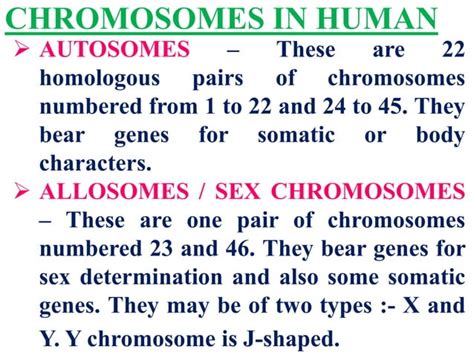 Sex Determination In Humans Pdf