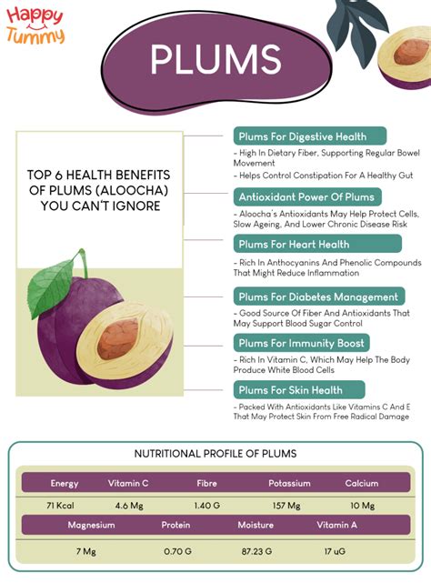 Top 6 Health Benefits Of Plums Aloocha You Cant Ignore Happytummy