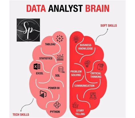 Data Analyst Brain Program