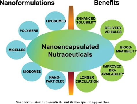 Unlocking Nutrient Potential The Marvels Of Nanoencapsulation In