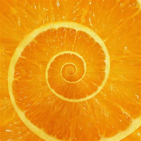 Slow Spiral Orange Aesthetic 