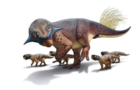 Meet Psittacosaurus The Dinosaur That Keeps On Giving Maxs Blogo Saurus