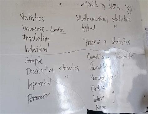 Statistics Universe Domain Population Studyx