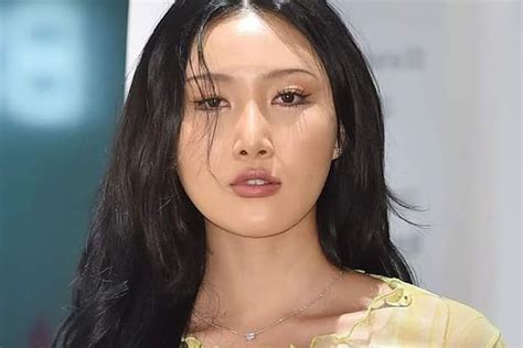 Alasan Hwasa Mamamo Diperiksa Polisi Biodata Dan Agama Hwasa Mamamoo