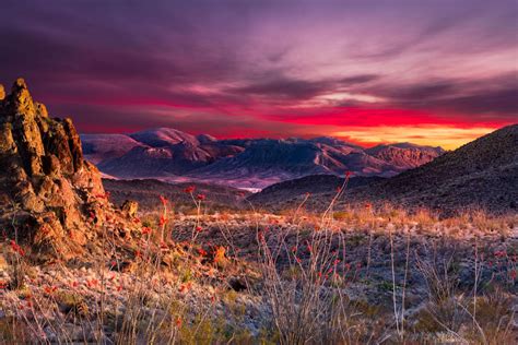 Amazing National Parks Facts On Every National Park In America