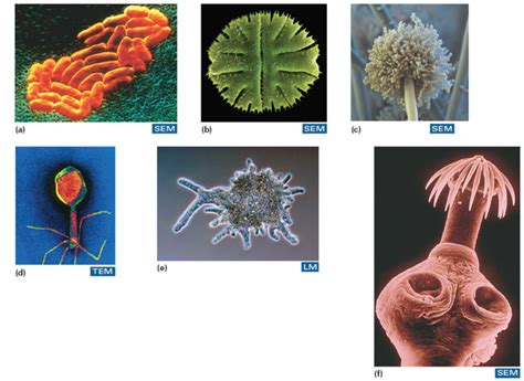 Chapter 1 Diagram Quizlet
