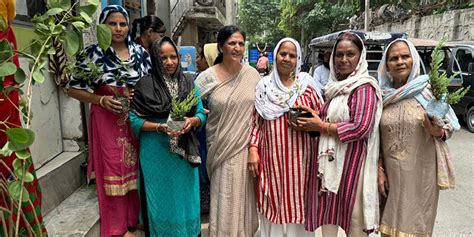 Tree Planting And Sapling Distribution To Villagers Ncr Sarvha