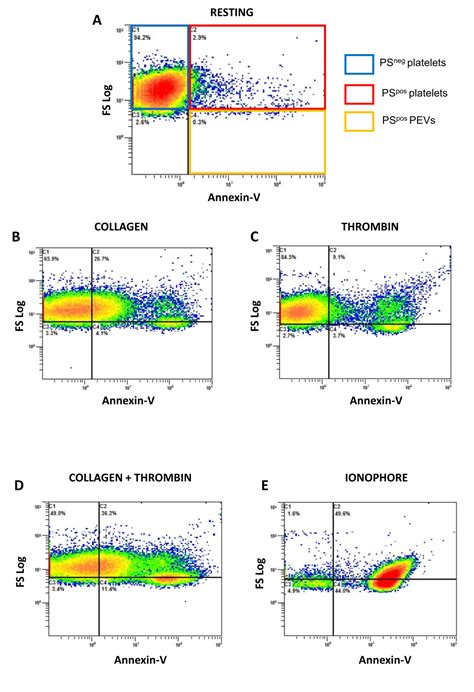 Procoagulant Platelet Characterization By Measuring Phosphatidylserine
