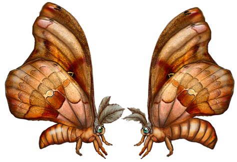 A Couple Polyphemus Moths By Butterflyhornet On Deviantart