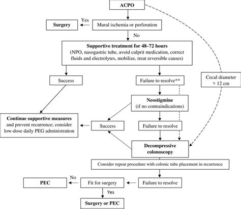 Recommended Treatment Algorithm In Patients With ACPO Adapted Download Scientific Diagram