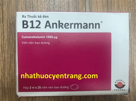 B12 Ankermann Nhathuocyentrang