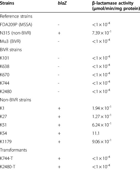 β Lactamase Activity And Presence Of Blaz In Laboratory Stock Bivr And Download Table