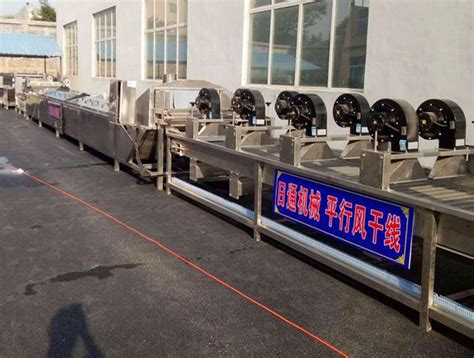 Fruit Vegetable Processing Line Oem