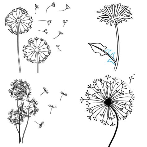 20 Easy Dandelion Drawing Ideas How To Draw