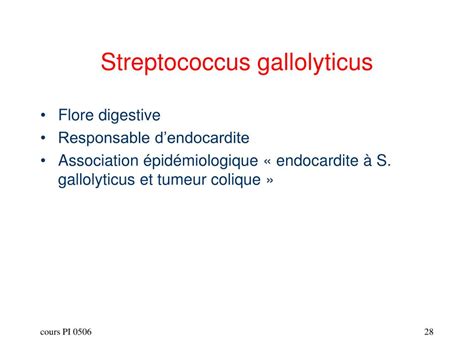 Ppt Infections Streptococciques Et Infections Des Tissus Mous Powerpoint Presentation Id 1336731
