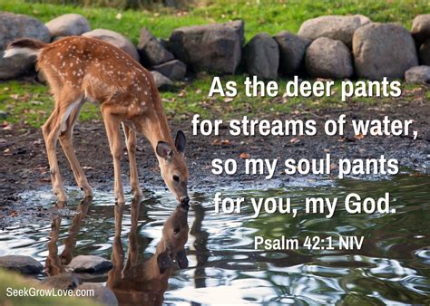 Psalm 423 Erf Bibleserver Psalm 8412 Ydrfcg