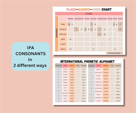 Ipa Consonant And Vowel Charts Speech Therapy Resources Pdf Etsy