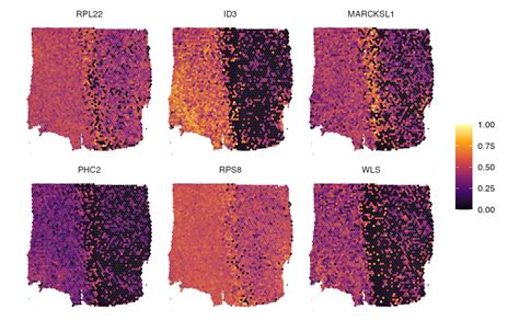 Initiation And Preprocessing Visium • Spata2