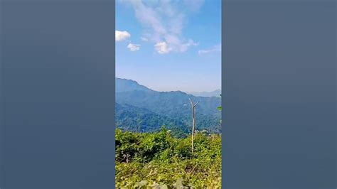 Army Lovershortvideoshortviral Youtube