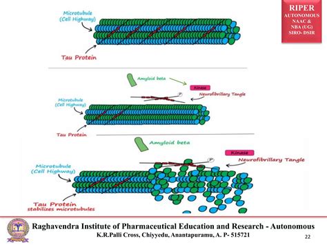 Neuro Degenerative Diseases Pptx