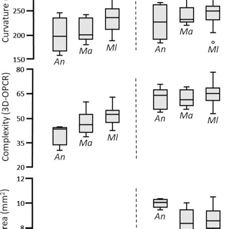 boxplots showing results of the measurements of dirichlet normal energy