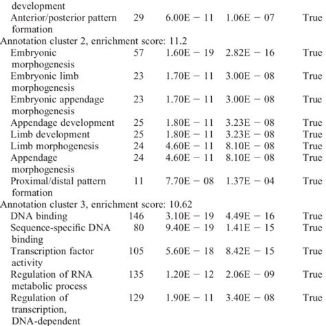 Functional Annotation Clusters Generated From David David Download Table