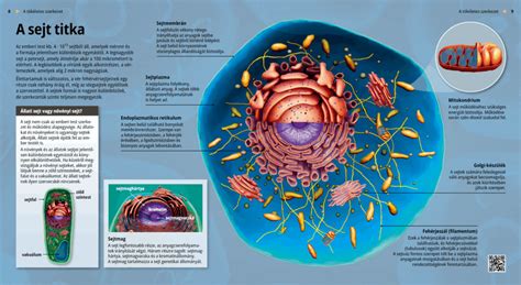 The Secret Of Cells Цахим хичээлүүд Mozaik цахим боловсрол ба сургалт