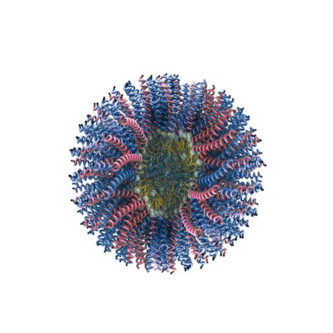 Polymer Self Assembly Craig Hawker Group Uc Santa Barbara