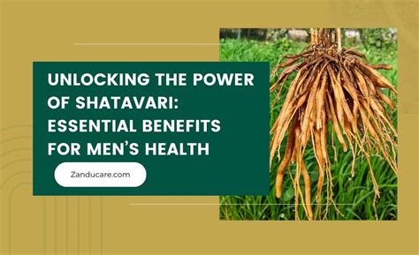 9 Essential Benefits Of Shatavari For Mens Health