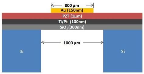cross section view of fabricated pmut array download scientific diagram