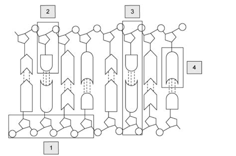 Structure Of Nucleic Acids And Replication Of Dna Cie A Level Biology