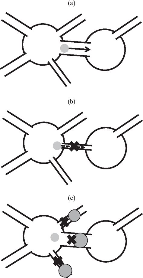 Figure From A Network Model To Assess Base Filter Combinations Semantic Scholar
