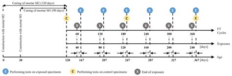 schematic representation of the test program download scientific diagram