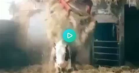 Sensual Massage Album On Imgur