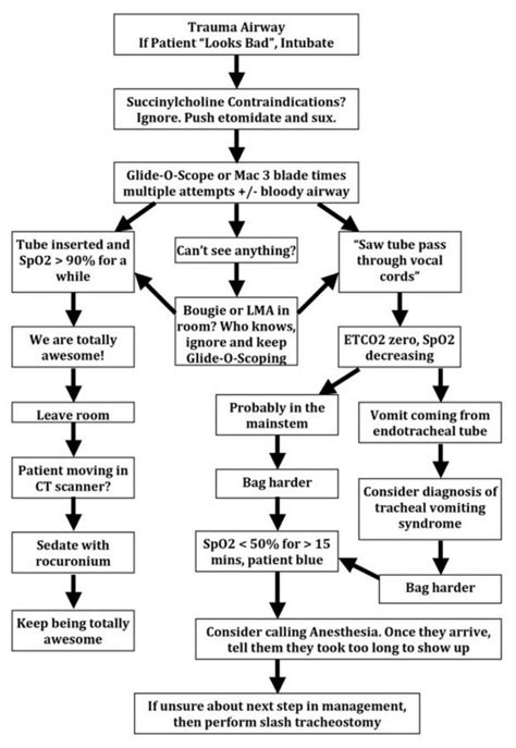 Algorithms Openairway