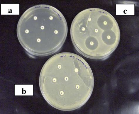 Toxicity Assay On Agar Plates A Plate Containing Stronger Sodium Azide