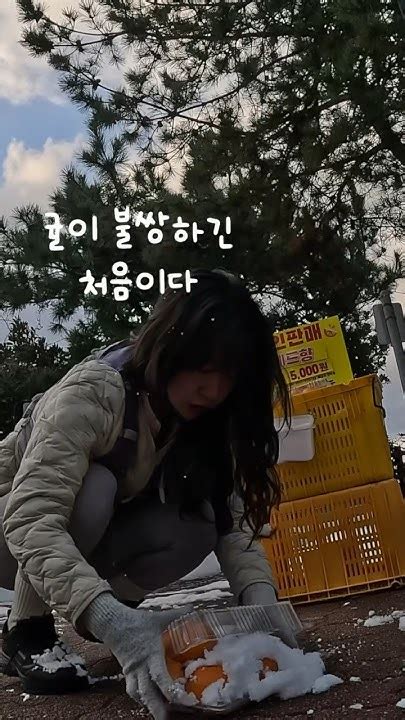 제주 노숙 후 달리기 전 기분 좋아지는 방법 남몰래 돕기 연탱이 연탱이의자유일기 연탱몬 트레일러닝 행복한하루 Youtube