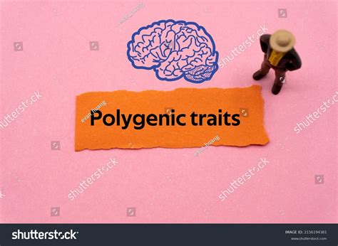 Polygenic Traits Images Stock Photos Vectors Shutterstock