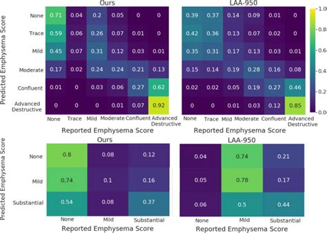 Improving Clinical Disease Subtyping And Future Events Prediction Through A Chest Ct‐based Deep