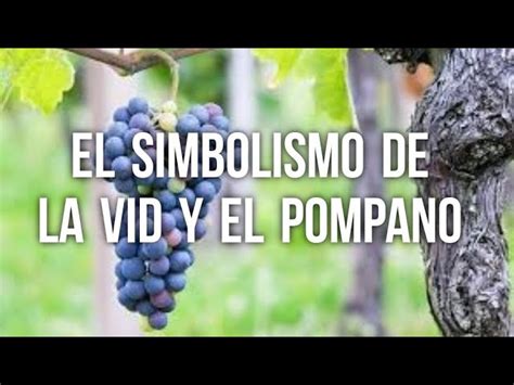 ¿qué Es Un Pámpano En La Biblia Descubriendo Sus Significados Y