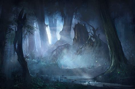Mysterious Forest Wallpapers Top Free Mysterious Forest Backgrounds