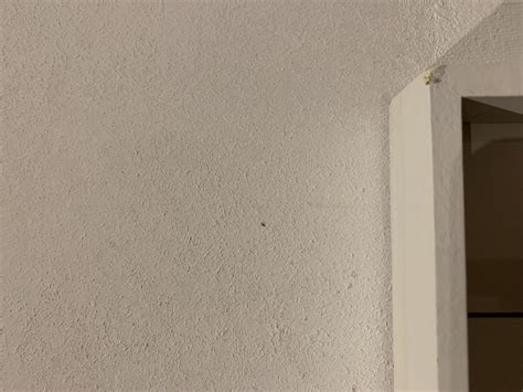 Qui A Déjà Réussi à Se Débarasser Des Psoques