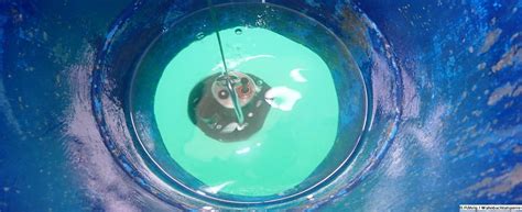 Integrating Water Sampler Iws Iii For 1000 M Sampling Depth Reeco