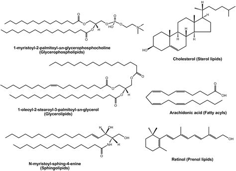 Give 2 Examples Of A Lipid