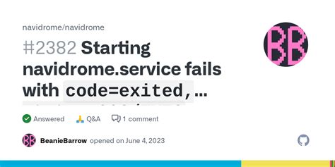 starting rvice fails with `code exited status 203 exec