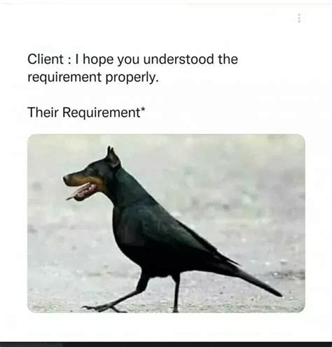 Softhat It Solutions Clear Communication Successful Projects Softhat It Solutions Private