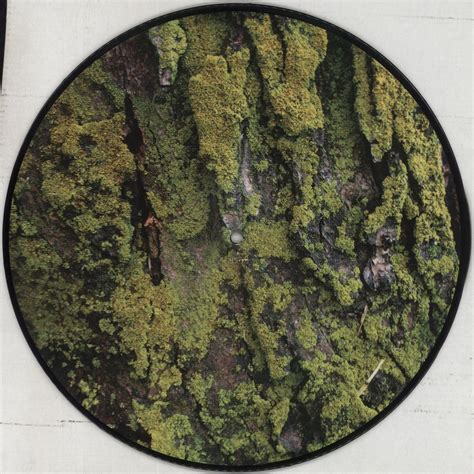 Squrl Ep 2 Uk Picture Disc Lp —