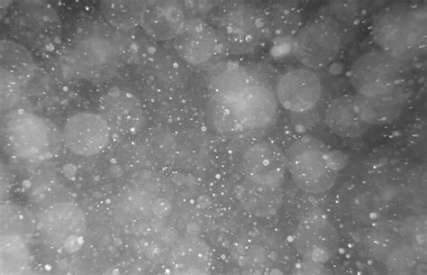 Viable And Non Viable Particle Count