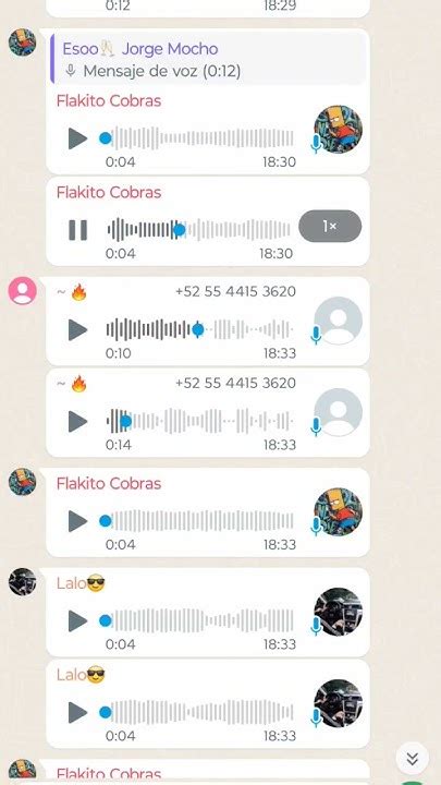 Coffee De La Película De Huevos La Película Youtube